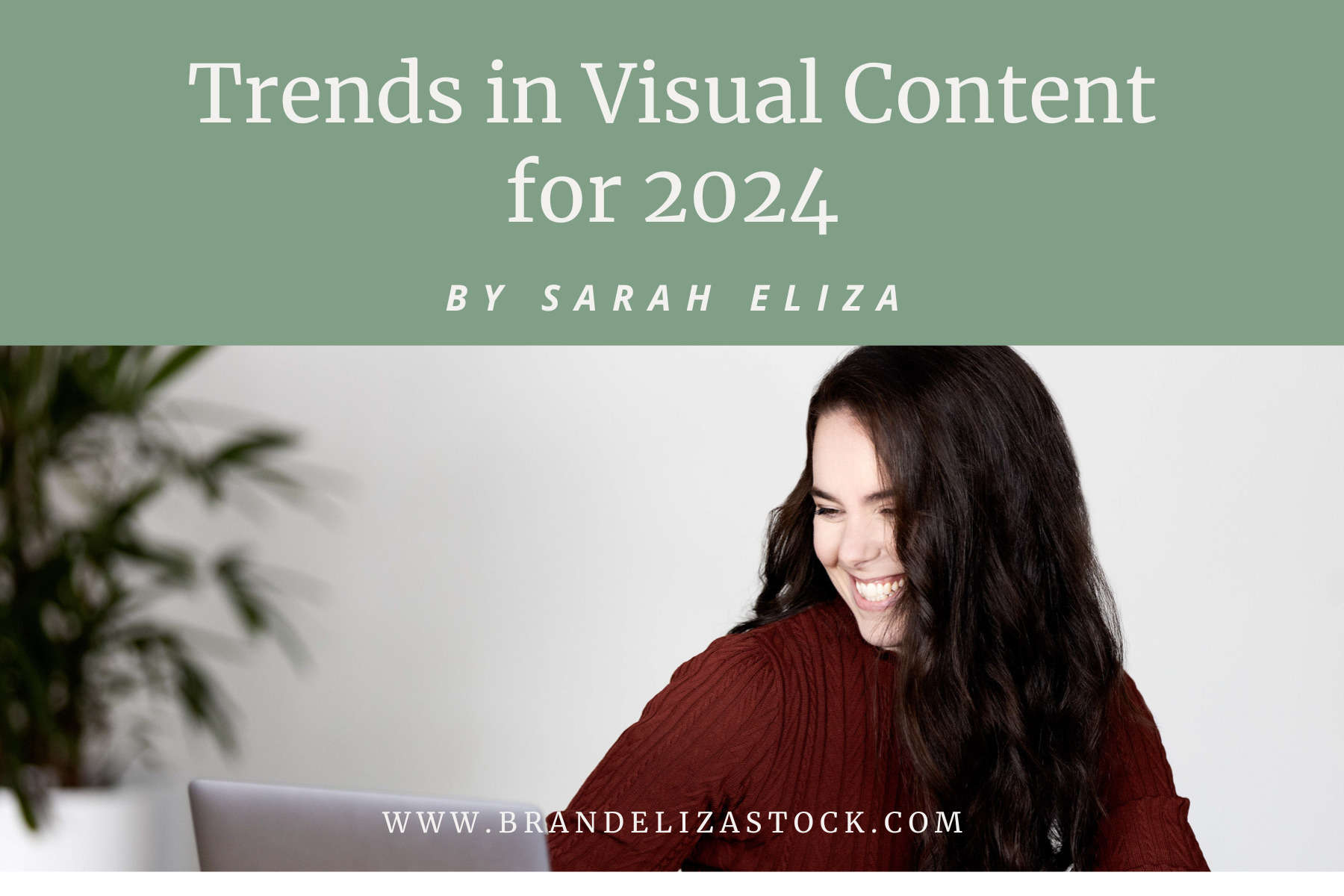 Trends in Visual Content for 2024