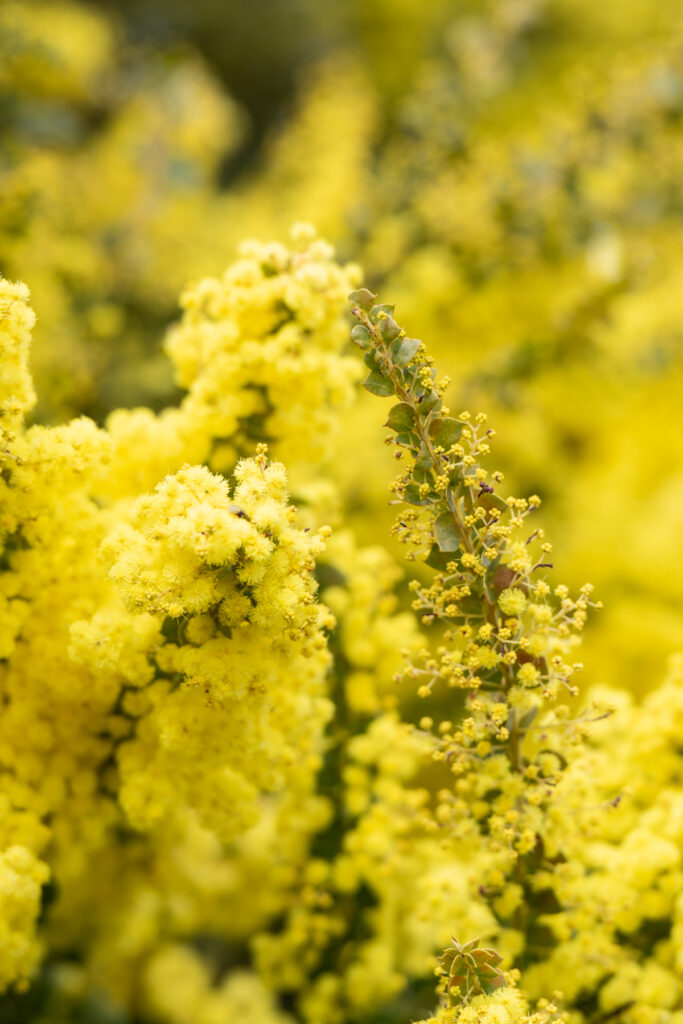 Spring - ELIZA STOCK - Feminine Styled Stock Photos Images Library